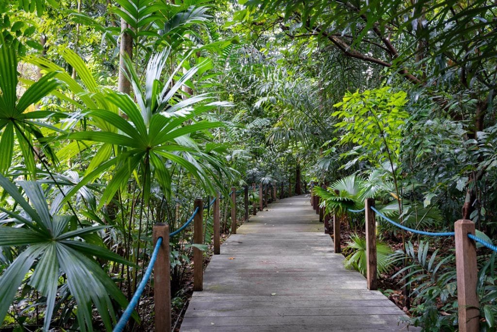 Viaggio a Singapore fai da te - Guida per un viaggio low cost
